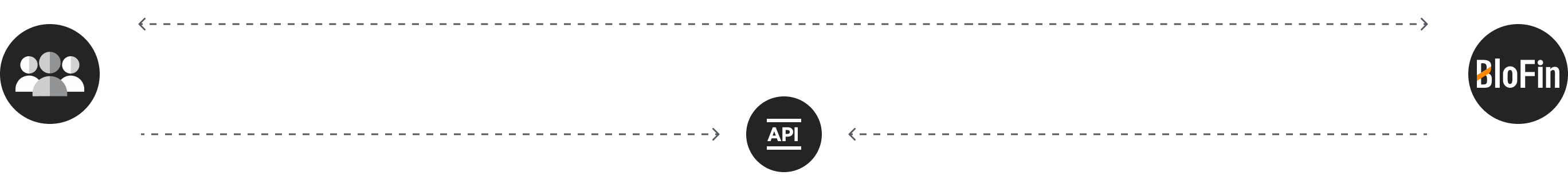 Crypto Trading Apis Blofin Secure And Robust Api For Developers